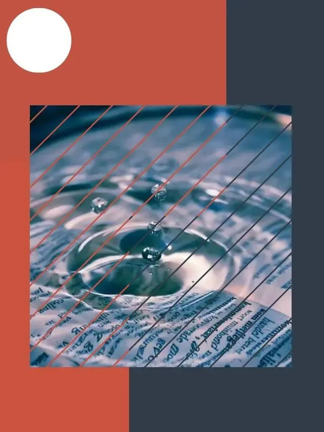 Transparent words: Entenda tudo sobre isso | Seu Idioma